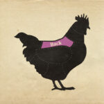 Chicken Cuts Explained By Owton's Butchers - Ultimate Guide