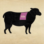 Lamb Cuts Explained By Owton's Butchers - Ultimate Guide